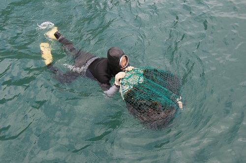 오래된 대기 잠수복